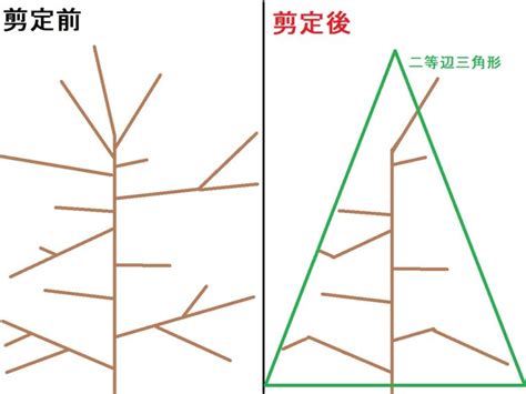 【柿農家が教える柿の剪定】剪定のやり方とポイント さどうちもんブログ