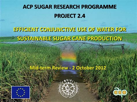Ppt Acp Sugar Research Programme Project 24 E Fficient Conjunctive