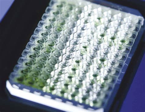 Scantox Austria Locations Scantox Neuro Gmbh