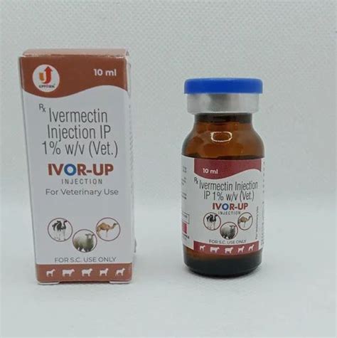 Ivor Up Ivermectin Injection 50 Ml At Best Price In Dehradun Id 2850741258330