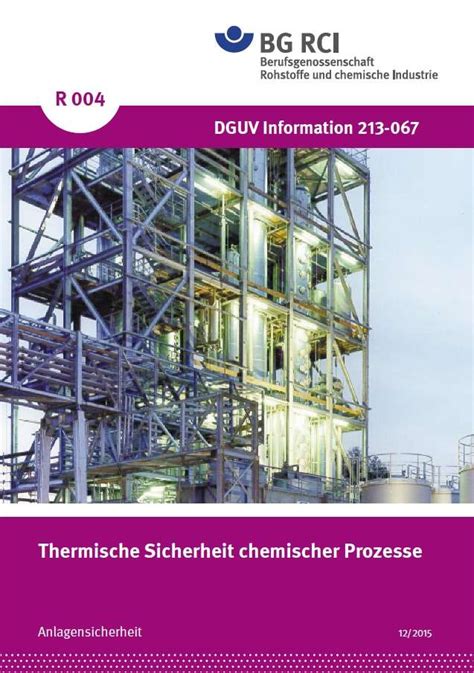 Thermische Sicherheit Chemischer Prozesse Merkblatt R 004 Der Reihe