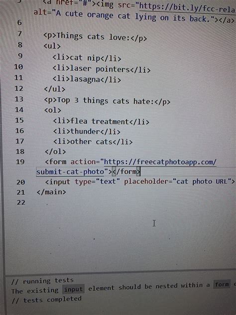 Form Element Challenge Html Css The Freecodecamp Forum
