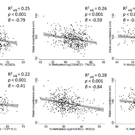Linear Regression Graphs Adjusted By Sex And Age Representing The