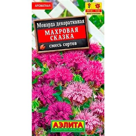 Купить Монарда Махровая сказка недорого по цене 20руб.|Garden-zoo.ru