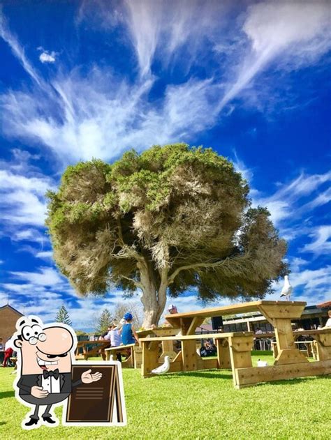 Carta Del Pub Y Bar Endeavour Tavern Lancelin