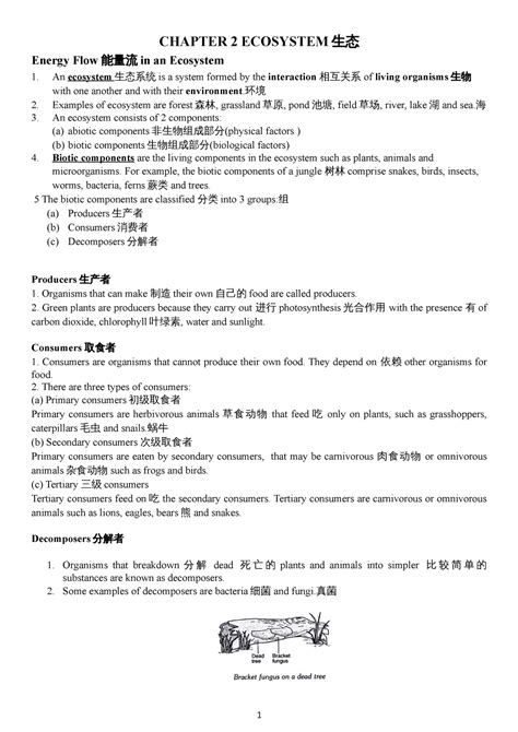 F2 Chapter 2 Ecosystem Finish Copy Chapter 2 Ecosystem 生态 Energy Flow 能量流 In An Ecosystem An