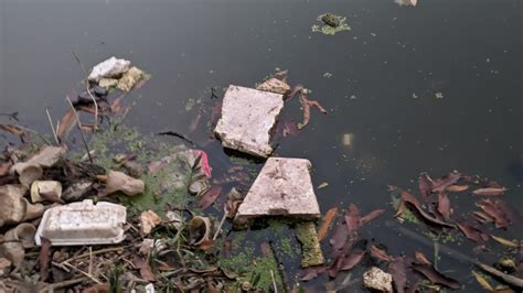 Dip Classification Object Detection Model By Aranya