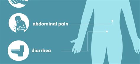 Hookworm Disease Symptoms Treatment Prevention Healthy Food Near Me