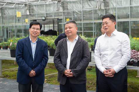 长沙市政协主席会议成员视察长沙花卉苗木产业发展澎湃号·政务澎湃新闻 The Paper