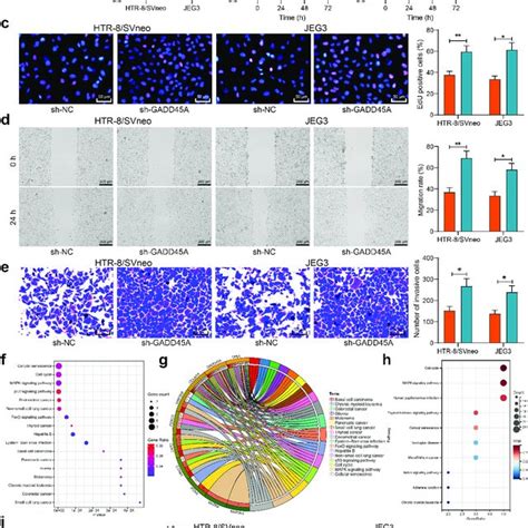 Ezh2 Overexpression Induces Proliferation And Invasiveness Of