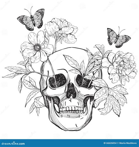 The Fascinating Skull Butterfly Coloring Page A Journey Through