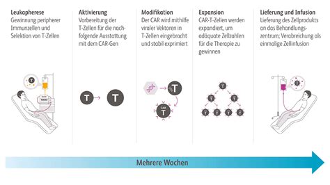 CAR T Zelltherapie Wissen BMS Onkologie