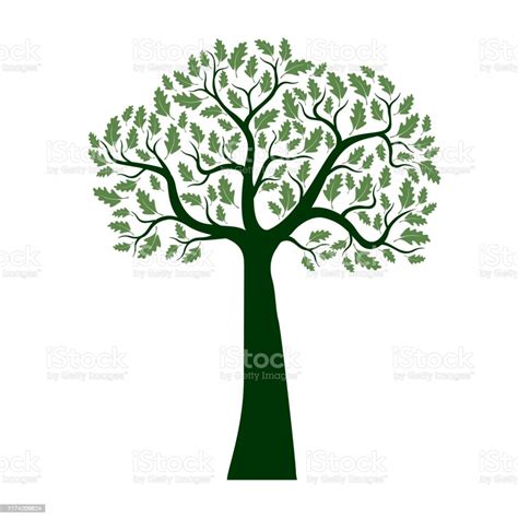 白色背景上的綠色向量橄欖樹向量插圖和概念植物在花園裡向量圖形及更多傳統園林圖片 傳統園林 剪裁圖 創作性 Istock