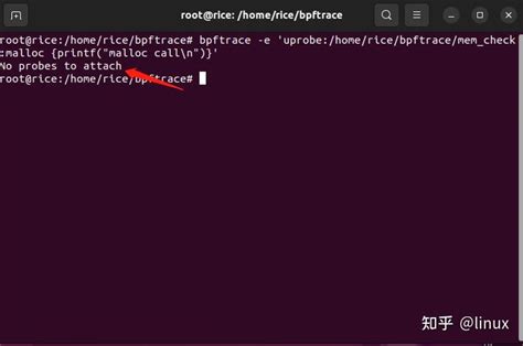 基于ebpf的性能工具 bpftrace实战 内存泄漏 知乎