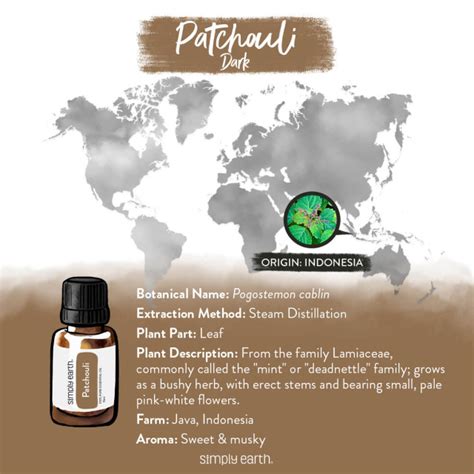 Simply Earth Patchouli Dark Essential Oil