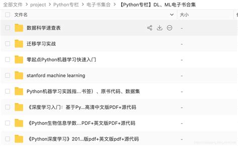 Python Csdn