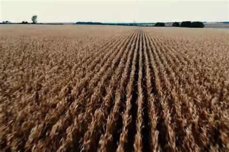 Bigfoot In Iowa New Documentary