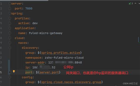 nacos微服务云开发远程联调部署内网穿透frp部署 nacos内网穿透 CSDN博客