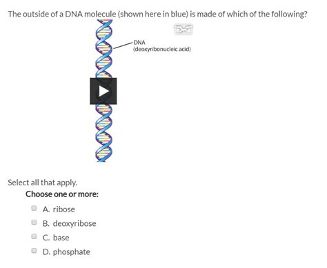 solved if a point mutation occurs in a gene is it possible
