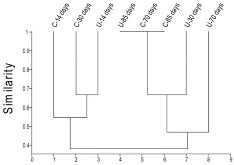 dendrogram resulting from the multivariate analysis of paired groups