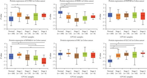Relationships Between Expressions Of 6 Encoding Genes And Hub Proteins