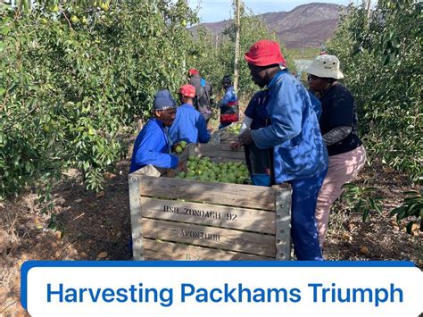 Marius Van Der Westhuizen Posted On Linkedin