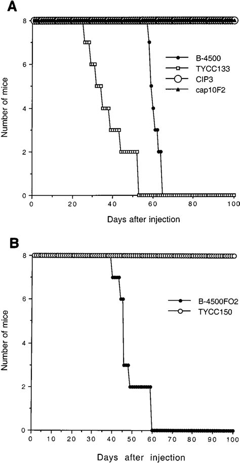 Virulence Test Groups Of Eight Mice Each Were Injected With About 10 6