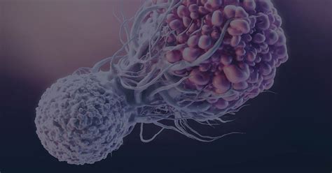 Ex Vivo Organoid Models Champions Oncology