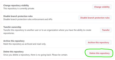 How To Delete A Github Repository In 2024 Backuplabs