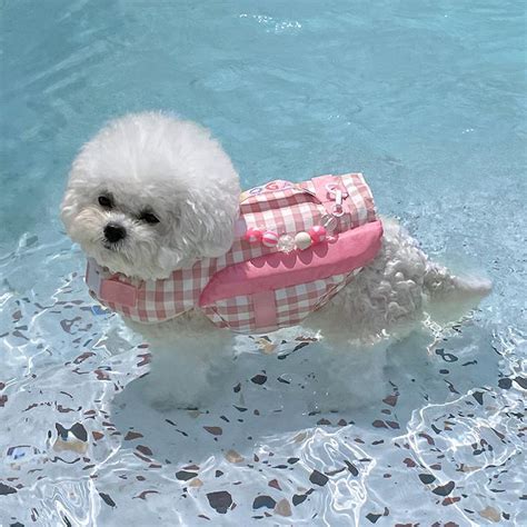 리토가토 롤리팝 강아지 구명조끼 핑크 S Xl 핏펫몰