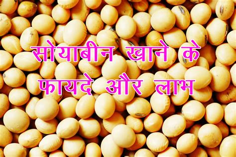 Soybean Ke Fayde Or Labh Hindi Me Hindi Genius
