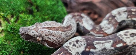 Грили Ярославль Печи Камины Биокамины Ярославль Камадо — японская традиционная глиняная