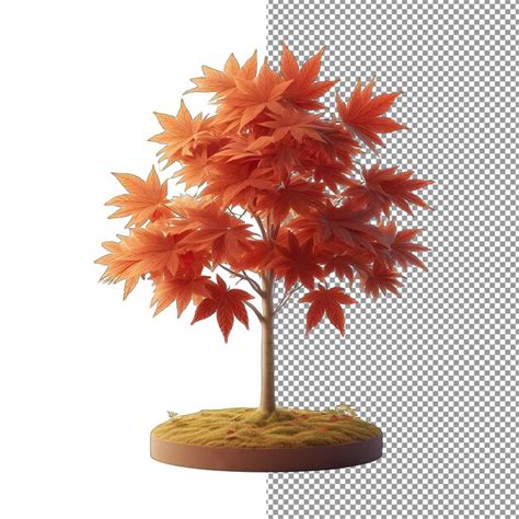 Page 5 Dead Quercus Suber Tree Png Psd 4 000 High Quality Free Psd