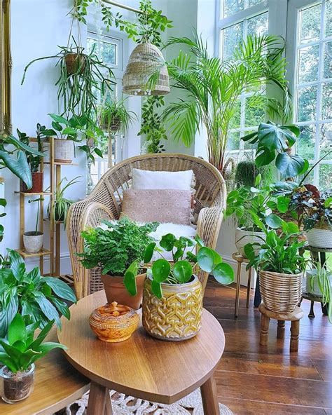 Houseplant Care 101 The Ultimate Guide To Happy Healthy Indoor Plants