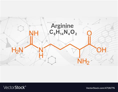 Arginine Molecule Amino Acid Chemical Skeletal Vector Image