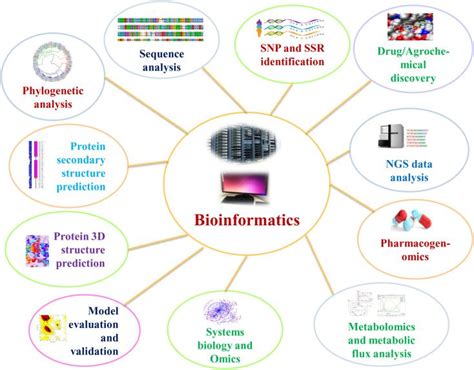Bioinformatics Unraveling Lifes Code In The Vast Landscape Of Science Bioinformatics Stands