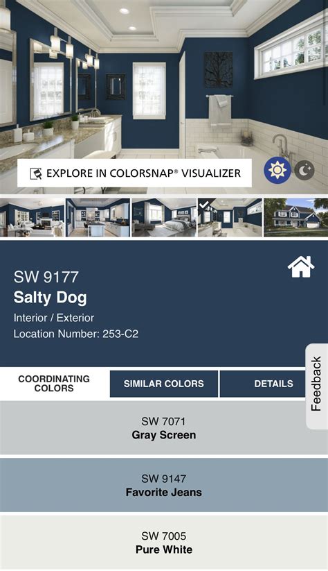 Windy Blue Sw Paint Color By Sherwin Williams Artofit