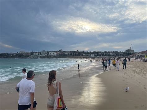 Bondibeach Australia Newyear Publicspace Pippa Dickson Phd