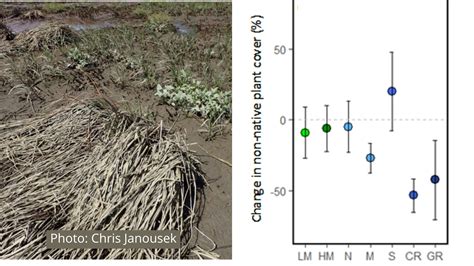 Estuary Technical Group Reports On Tidal Wetland Restoration In