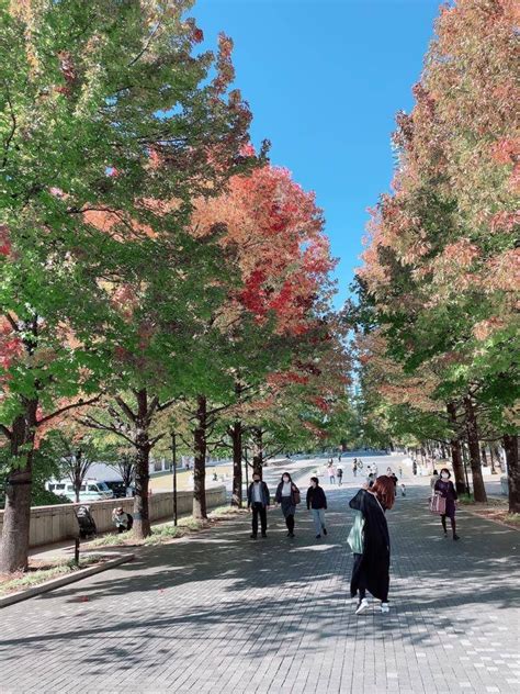 Lovely Day Fmヨコハマ On Twitter 昨日は 鈴木まひる さんと！👟🍂 Lovelyday847