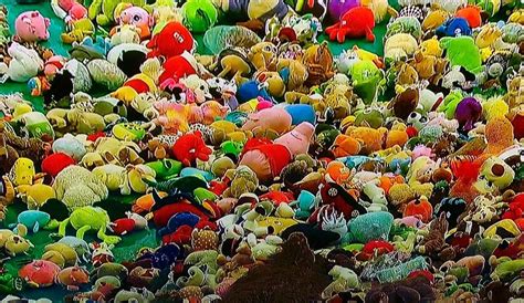 Akcja Charytatywna Dla Olafa Podsumowanie Szkoła Podstawowa Nr 2 W Pruszczu Gdańskim