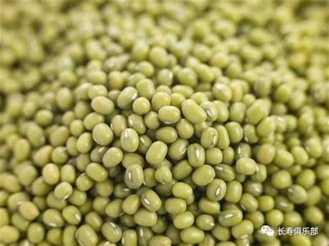 这八种祛湿食物消肿利尿多吃有益