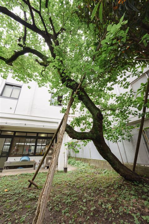 お問い合わせ 行人坂教会