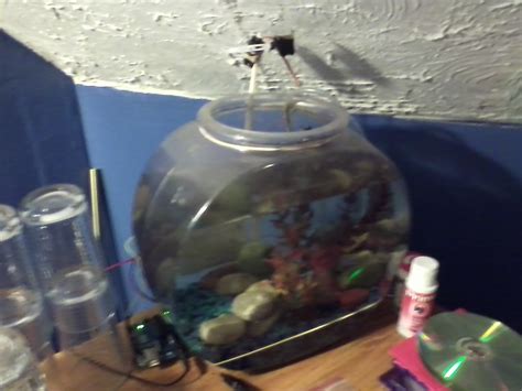 Newb Automatic Fish Feeder Needs Time General Guidance Arduino