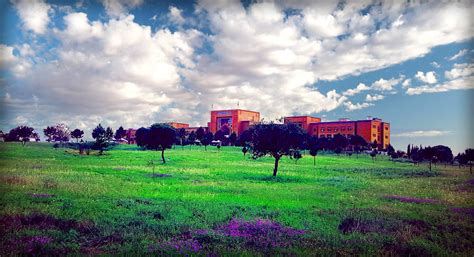 Iiui Events Iiui Events Added A New Photo