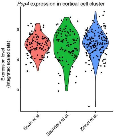 Figures And Data In Spatially Patterned Excitatory Neuron Subtypes And Projections Of The