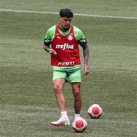 Veja Fotos Do Treino Do Palmeiras No Allianz Parque Nesta Quarta Feira