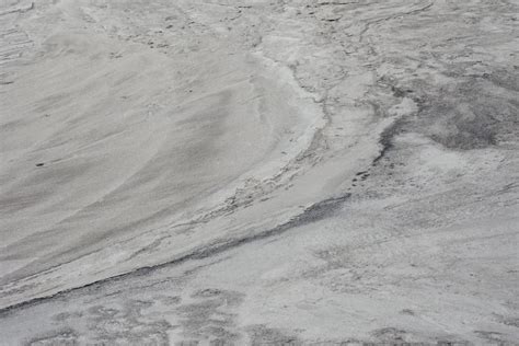 Intern — Danielle Suzanne