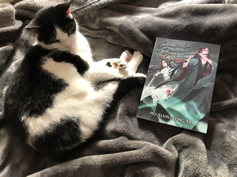 Grandmaster Of Demonic Cultivation Mo Dao Zu Shi Volume 3 Review Tea