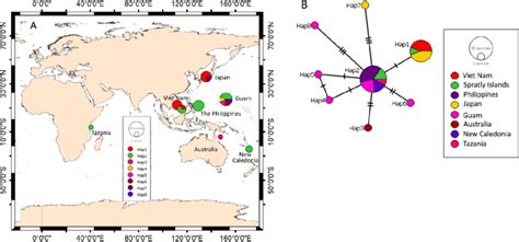 Distribution Of Haplotype Frequency Of H Macroloba Eight Haplotypes